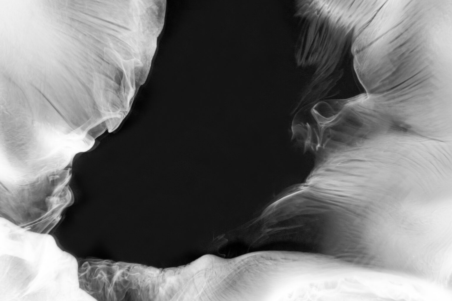 Exploring the Evolution of Criminal and Forensic Photography